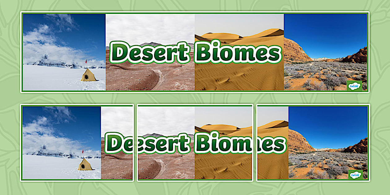 Desert Biomes Photo Display Banner (teacher made) - Twinkl