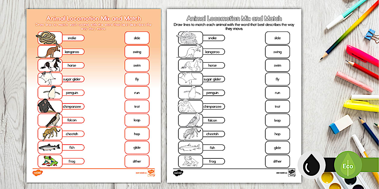 Animal Locomotion Matching Activity (Teacher-Made) - Twinkl