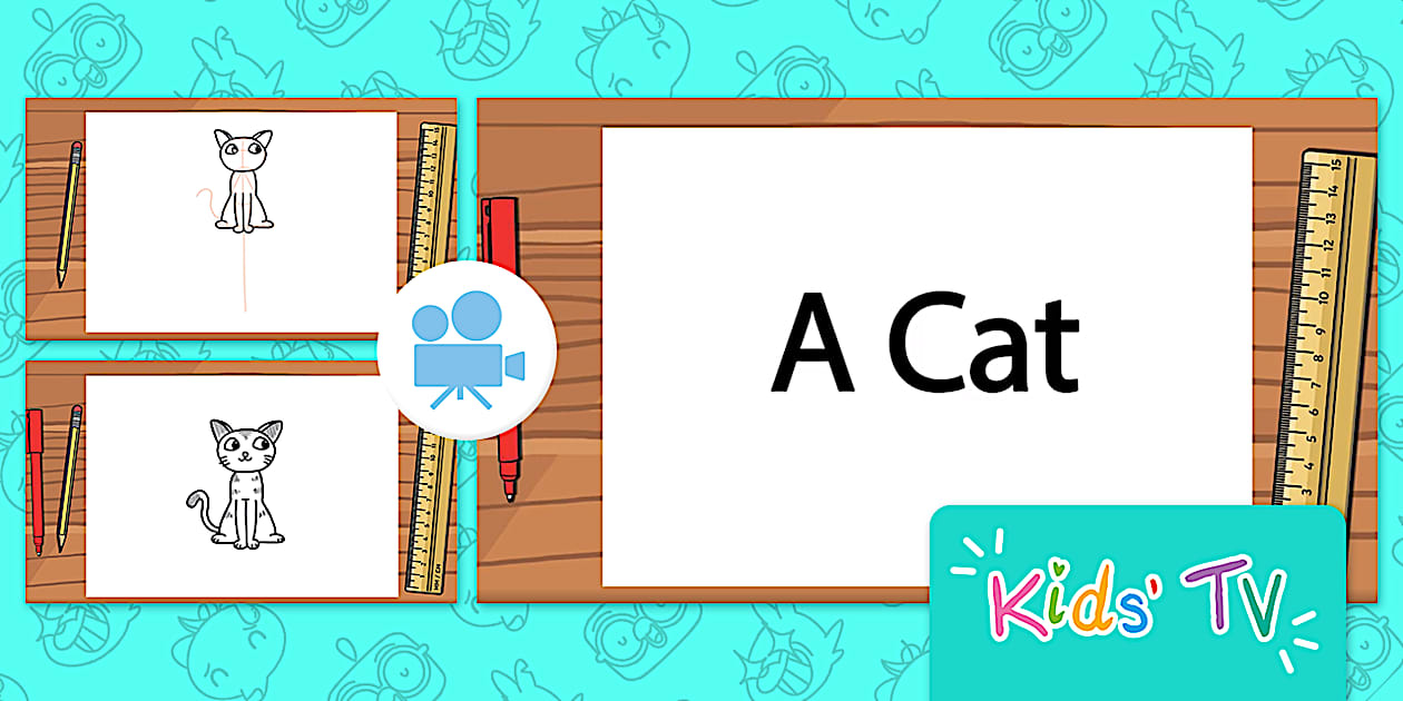 How to Draw a Cat | Twinkl Kid's TV (Teacher-Made) - Twinkl