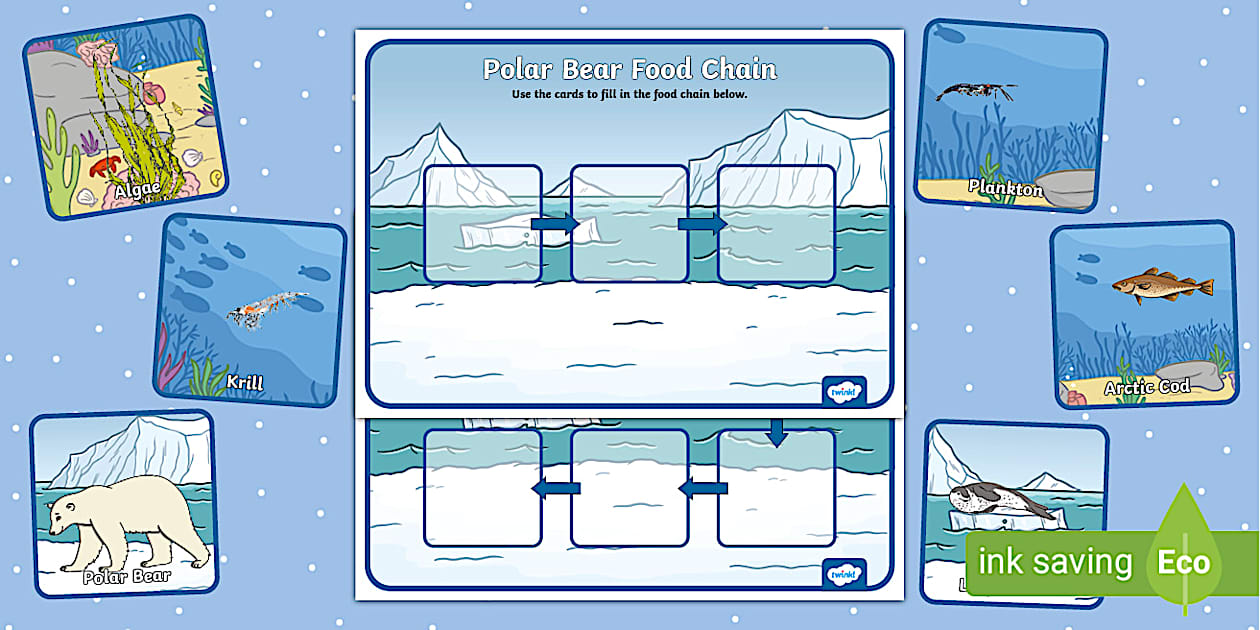 Polar Bear Food Chain Sorting Activity For Children.