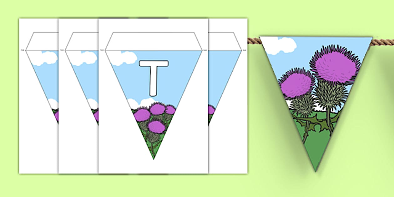 Thistle Class Display Bunting (teacher made) - Twinkl