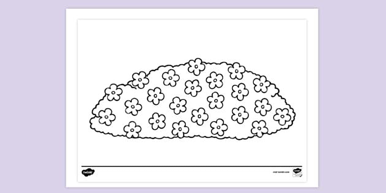 Bush With Flowers Colouring Sheet - Twinkl