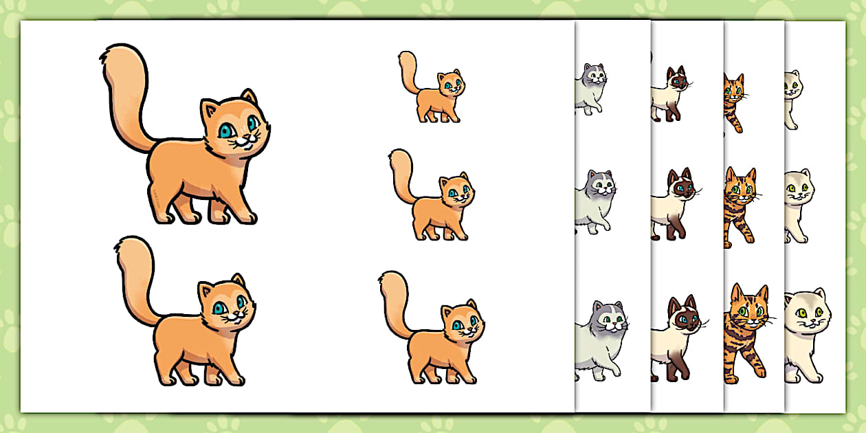 Cats Size Ordering (teacher made) - Twinkl