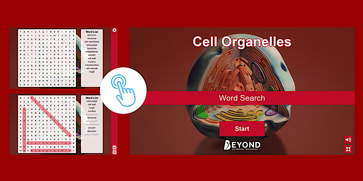 A Level Biology: Cell Organelles Interactive Word Search