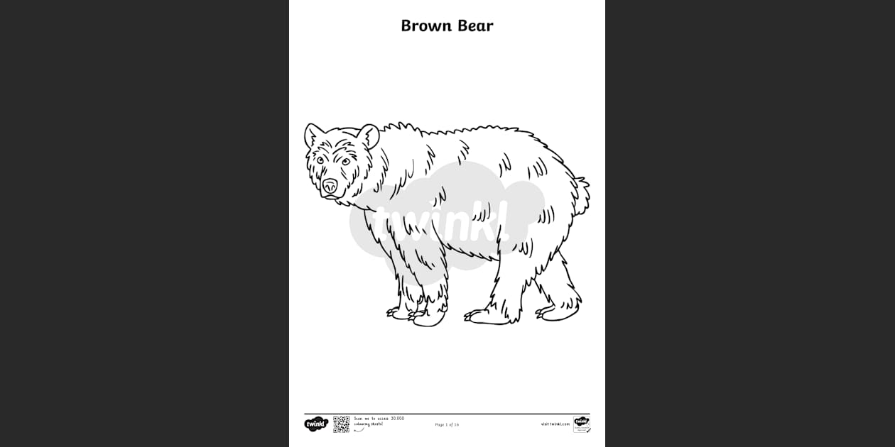 brown bear colouring