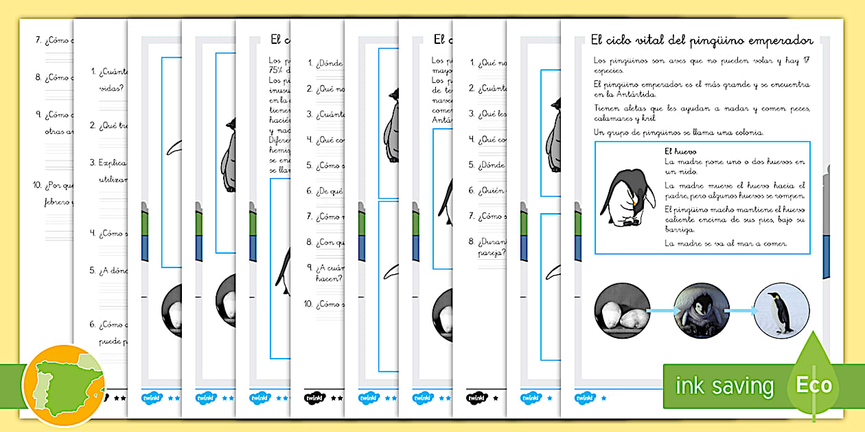Comprensión lectora de atención a la diversidad: El ciclo vital del ...