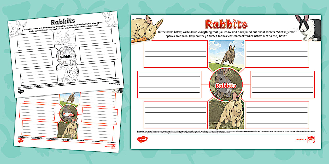 Rabbits Mind Map (teacher made) - Twinkl