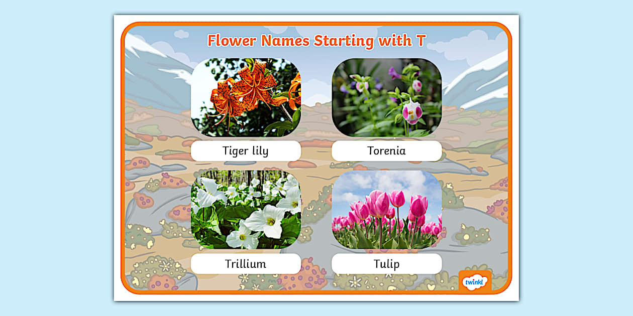 Flower Names That Start with T Display Poster