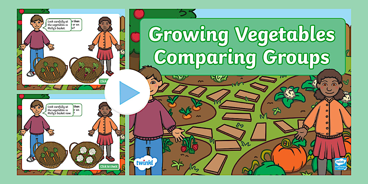 👉 Growing Vegetables - Comparing Groups PowerPoint | Twinkl
