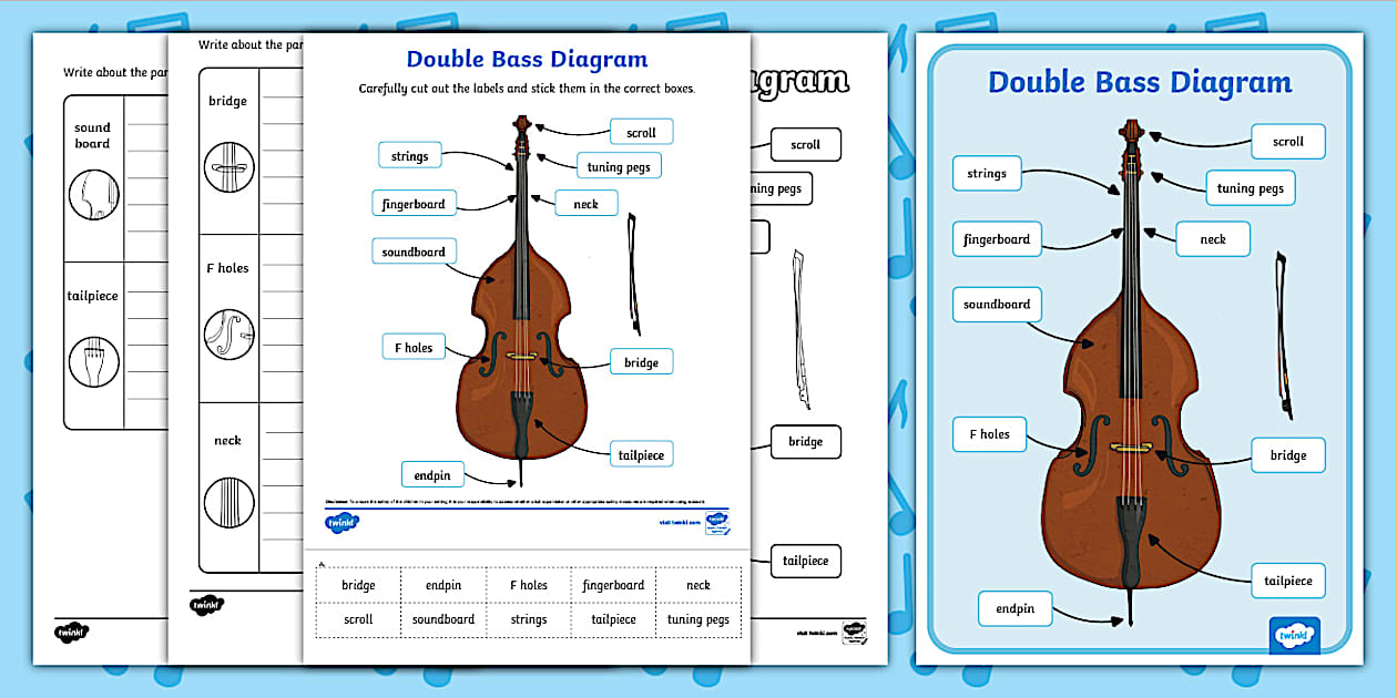 👉 Double Bass Diagram Pack (teacher made) - Twinkl