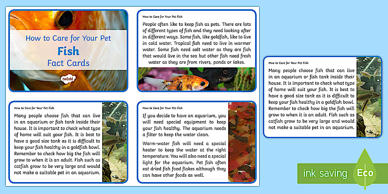 How to Care for Your Pet Fish Fact Cards (teacher made)