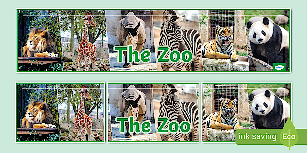 The Zoo Photo Display Banner (teacher made) - Twinkl