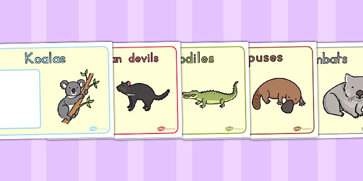 Editable Australian Animal Group Signs - Twinkl