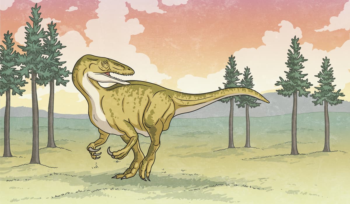 Largest-Ever Raptor - Twinkl NewsRoom - Twinkl