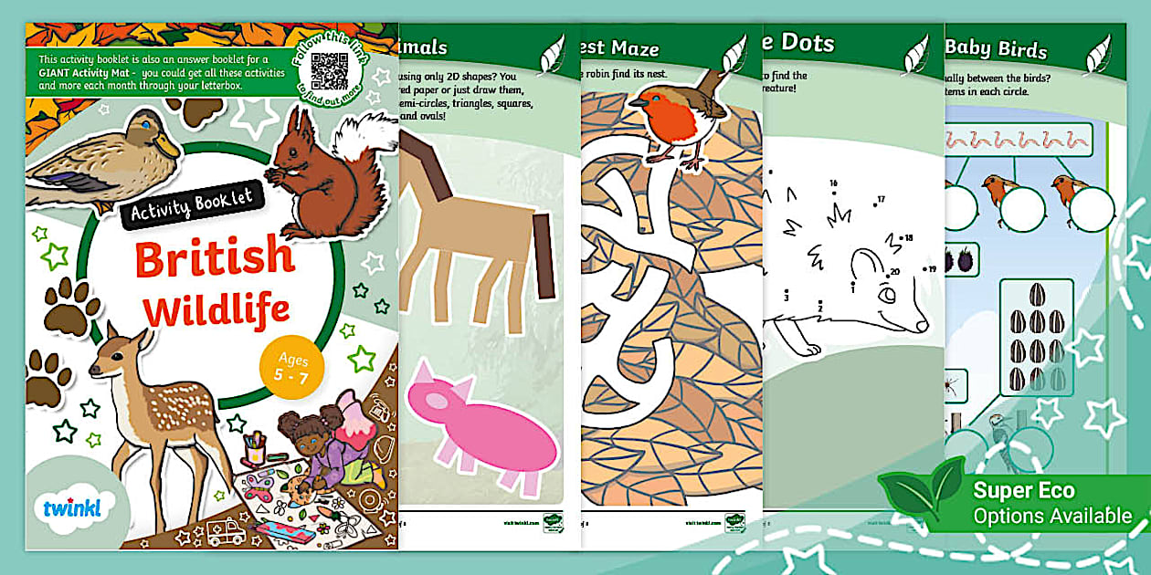 British Wildlife Activity Booklet (Ages 5 - 7) - Twinkl