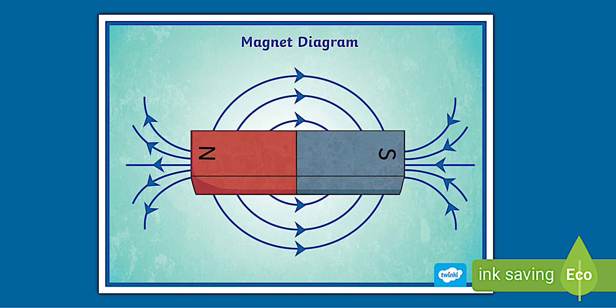 Magnet Diagram Display Poster (l'insegnante ha fatto)