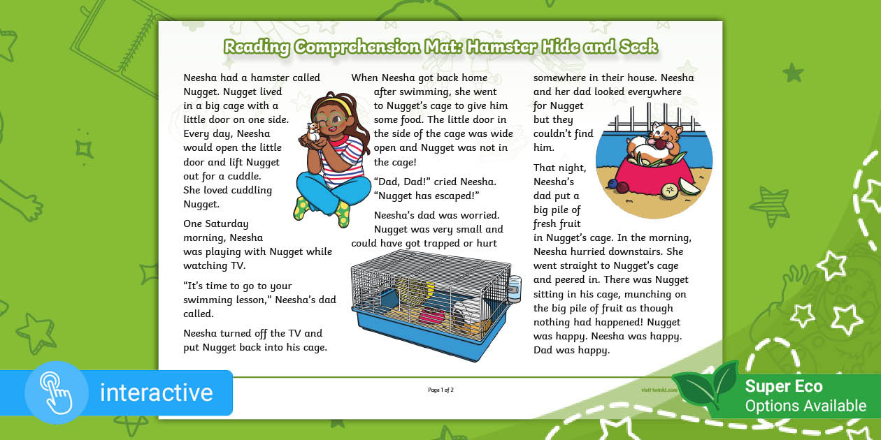 Hamster-Themed Reading Comprehension Activity (Teacher-Made)