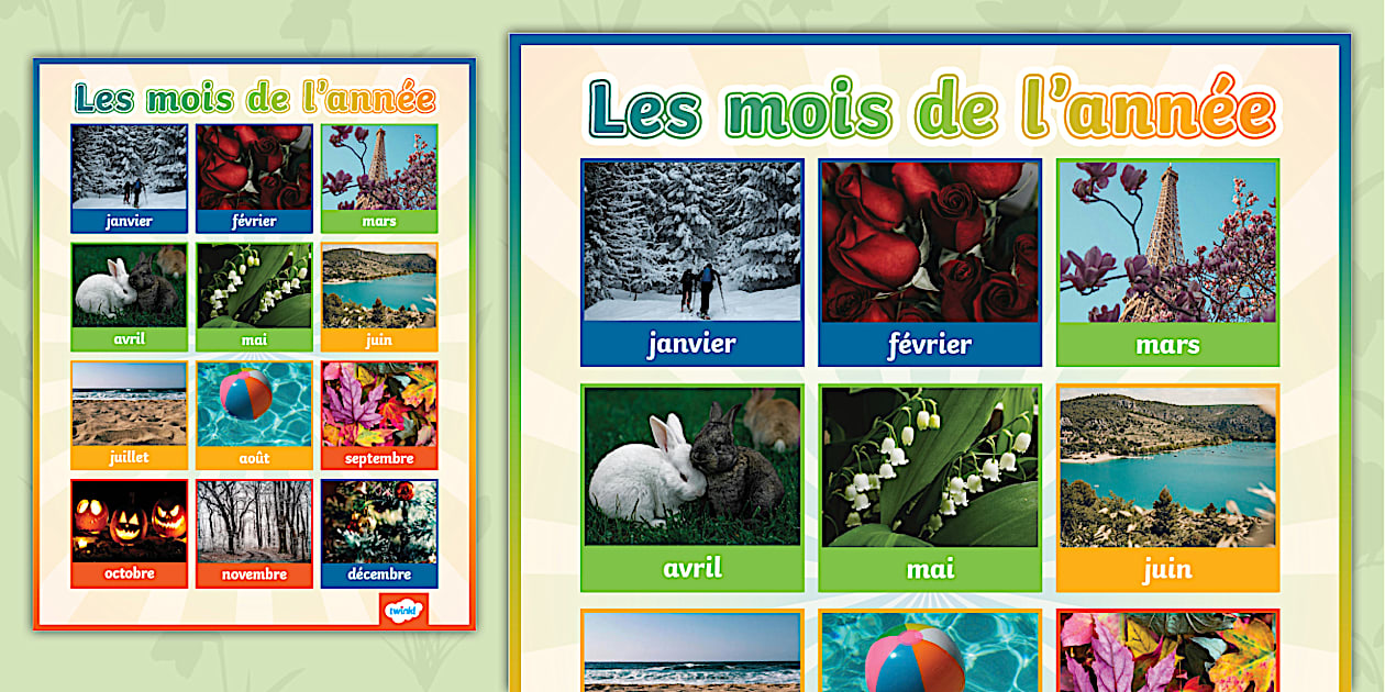 Affiche photos : Les mois de l'année (teacher made)