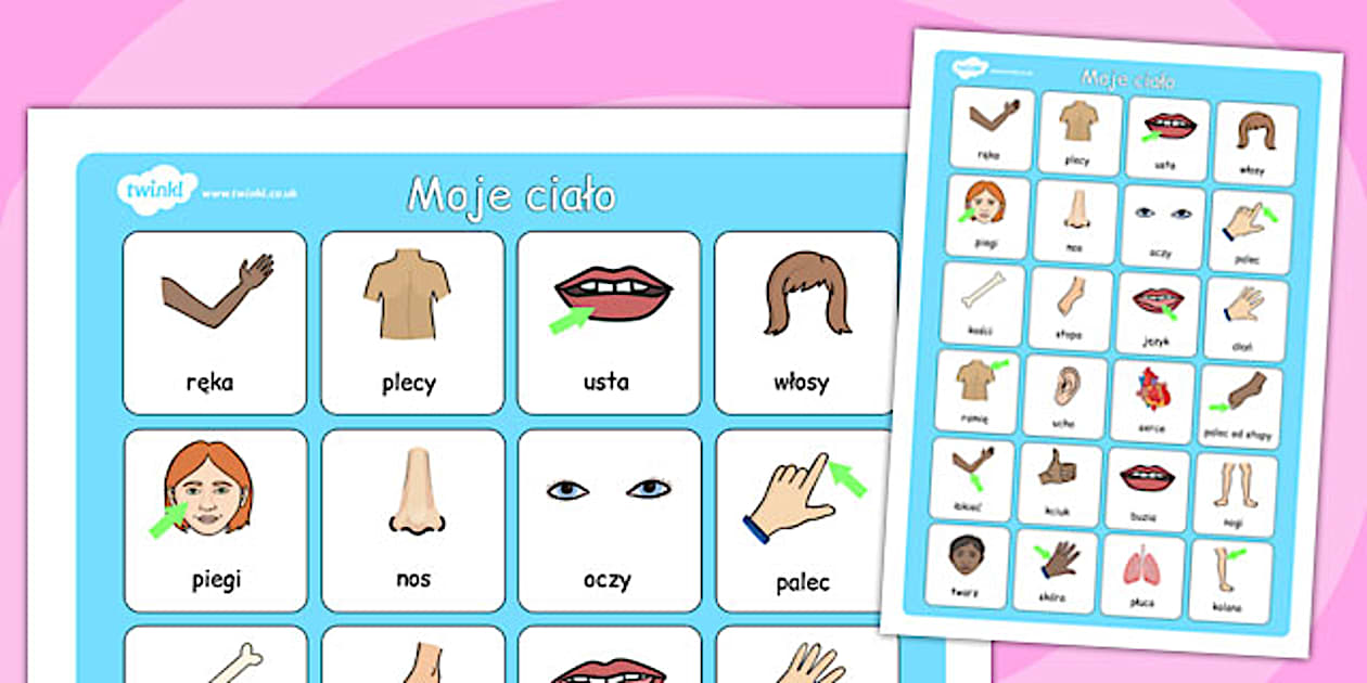 My Body Vocabulary Poster Polish - Twinkl
