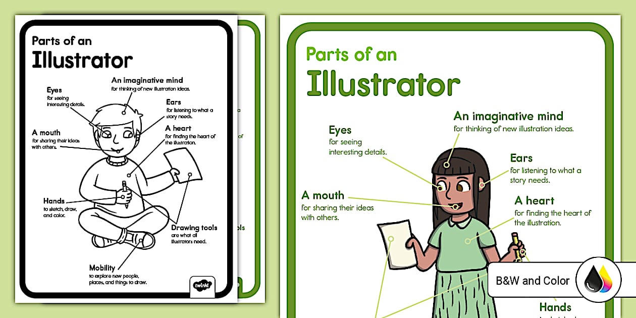 Parts of an Illustrator Poster (teacher made) - Twinkl