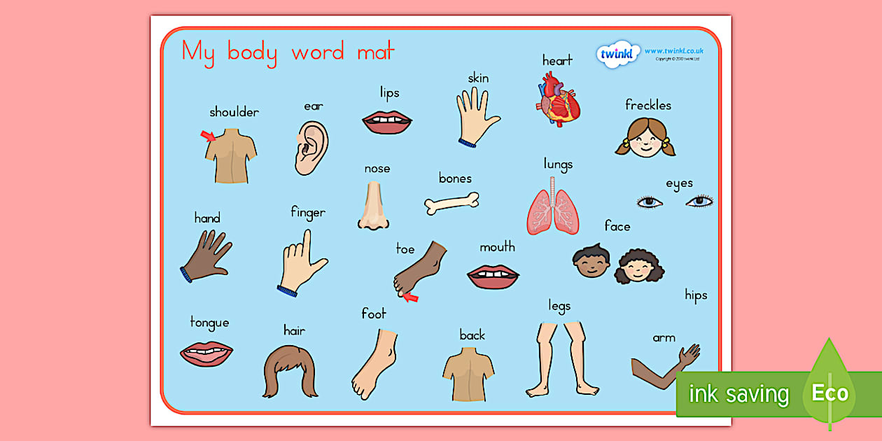 My Body Word Mat (teacher made) - Twinkl