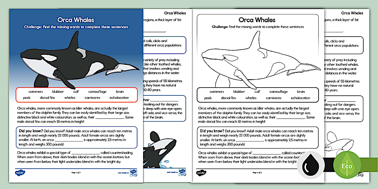 Orca Whale Cloze Activity (Teacher-Made) - Twinkl