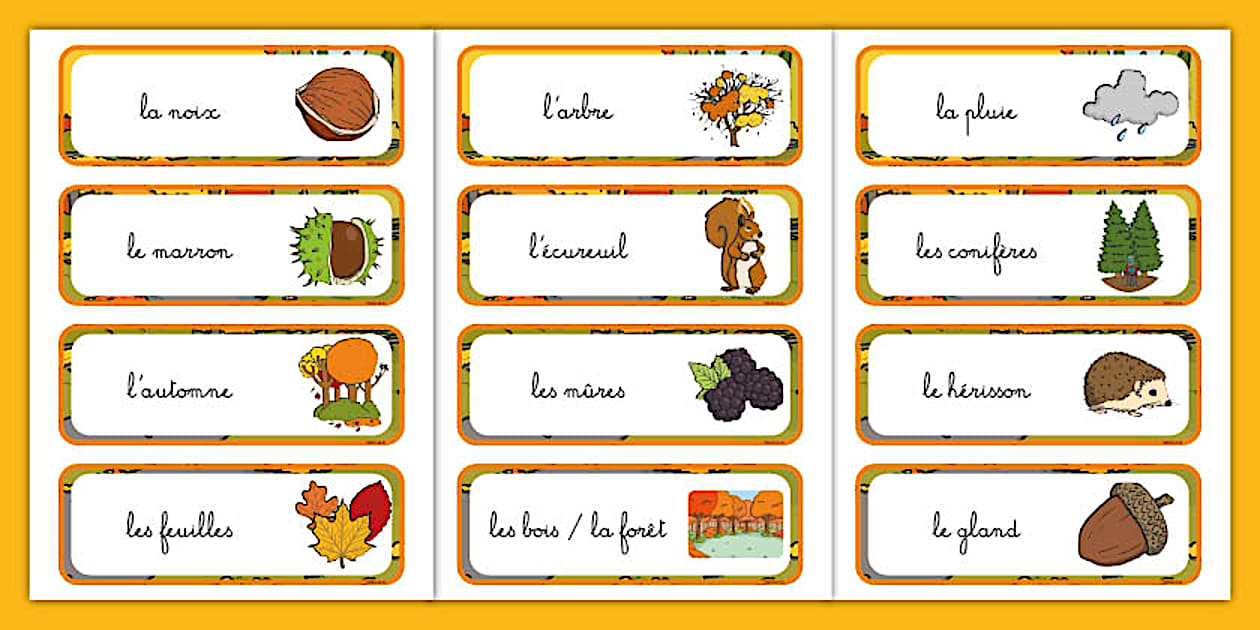 Cartes de vocabulaire : L'automne