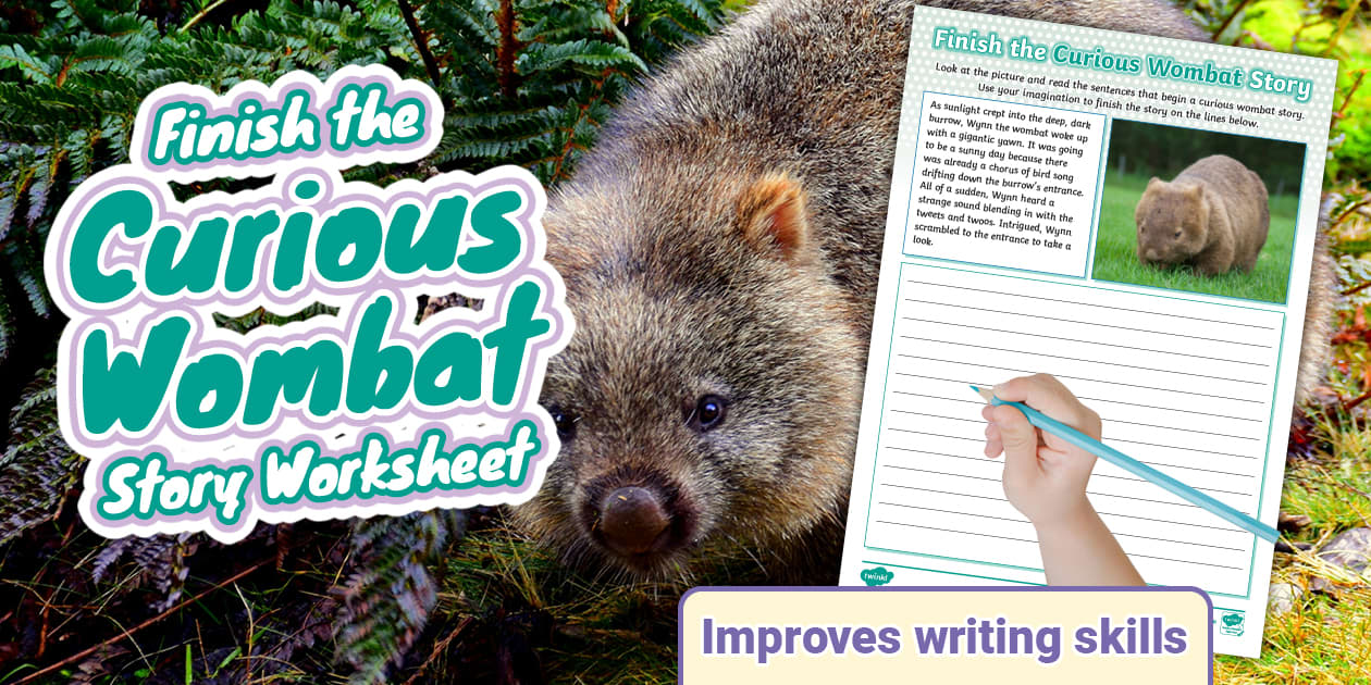 Finish the Curious Wombat Story Worksheet