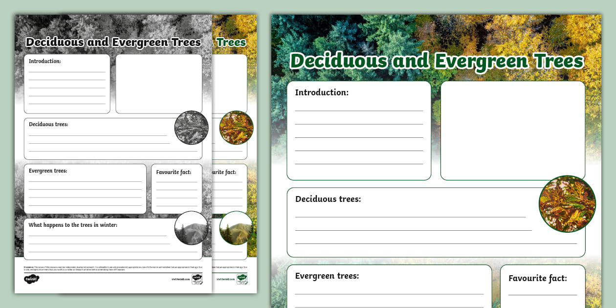 Deciduous and Evergreen Trees Non-Chronological Report Template