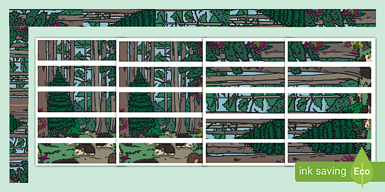 Hedgehog Display Ideas – Printable Borders for the Classroom