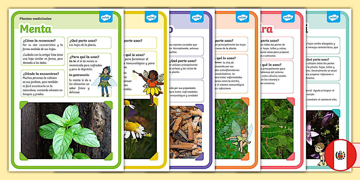 Pósters de plantas medicinales | Recursos Educativos Twinkl