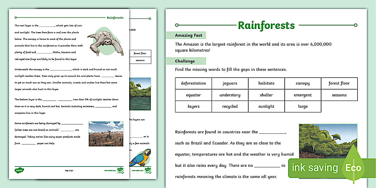 Rainforests Cloze Passage | Find the Missing Word Worksheet