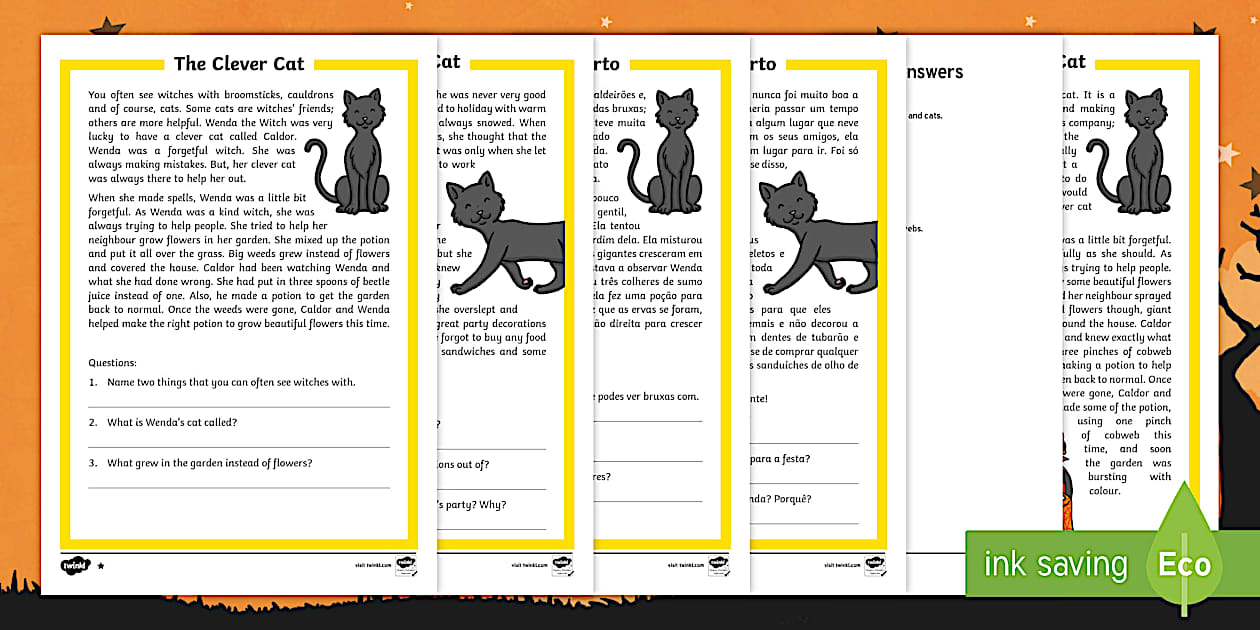 The Clever Cat Differentiated Reading Comprehension Activity