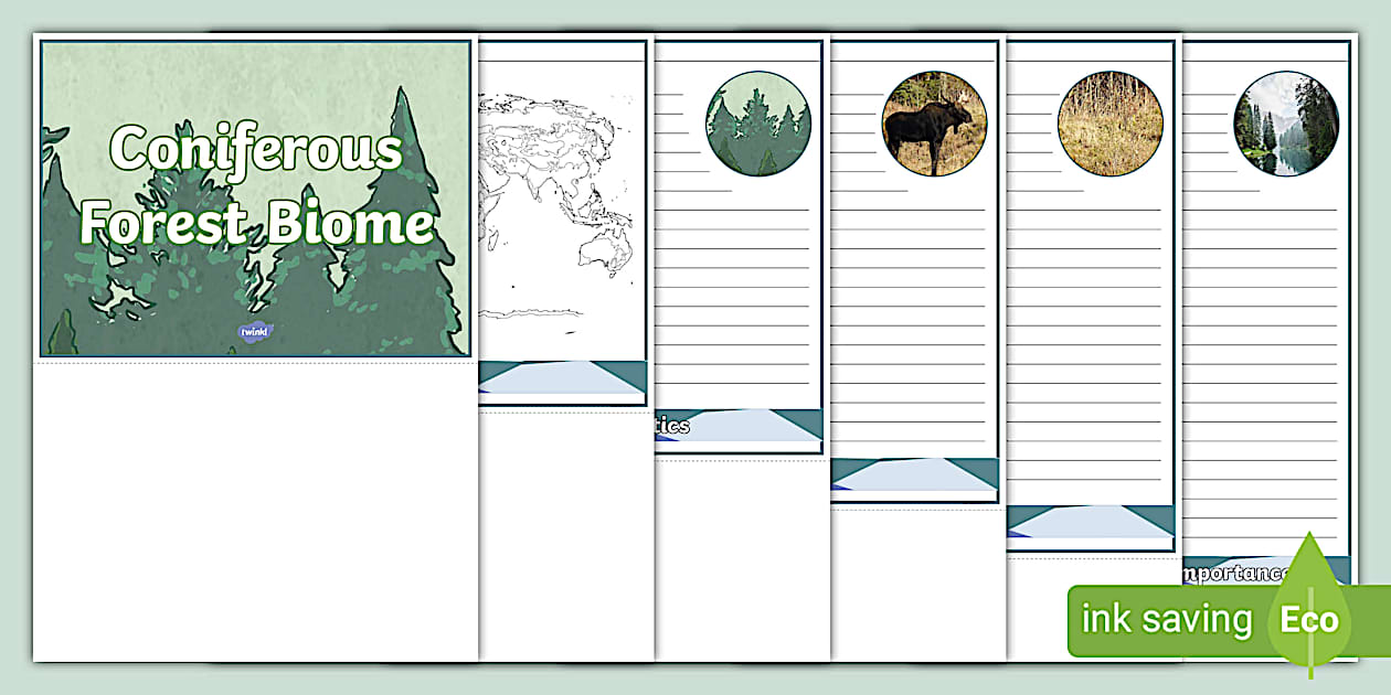 Coniferous Forest Biome Flipbook Ι World Climates Ι Twinkl