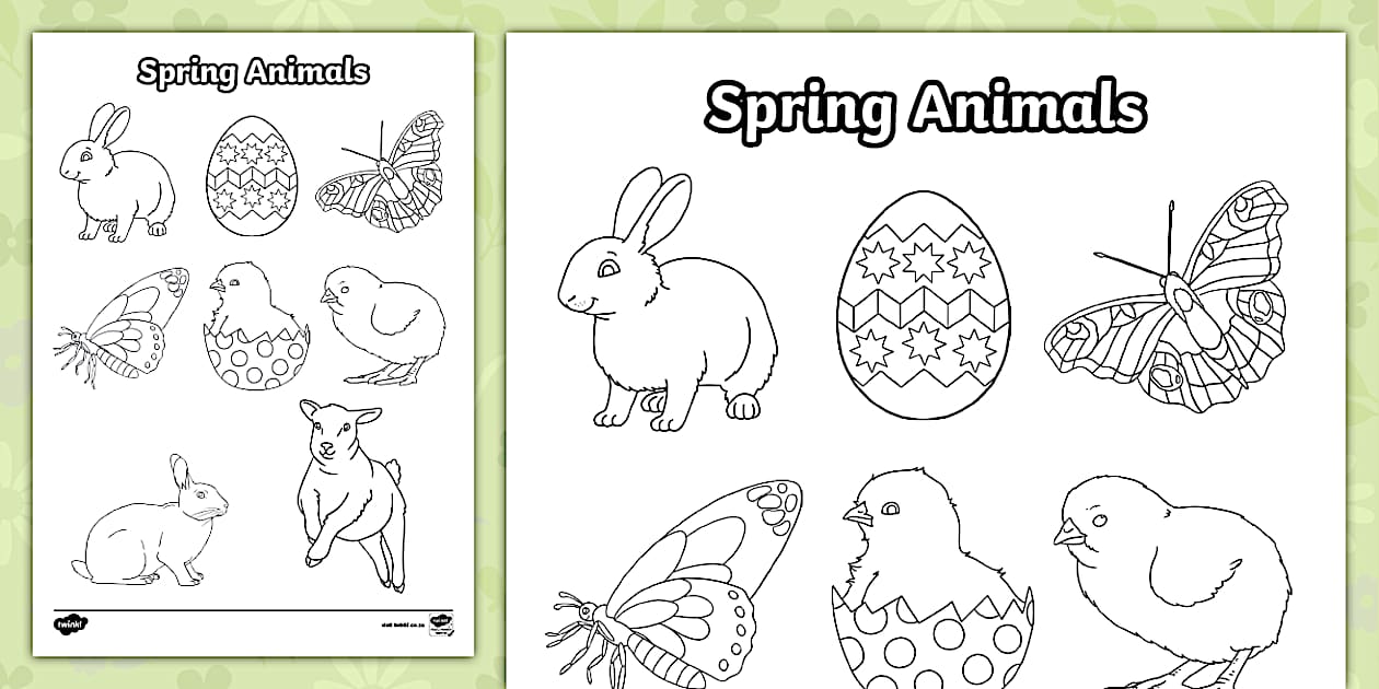 Spring Worksheets For Preschool: Colouring-In I Resource