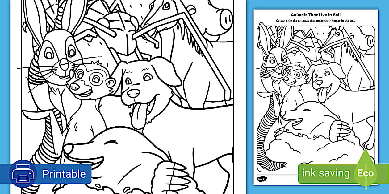 Animals that live in Soil - Colouring Pages (teacher made)