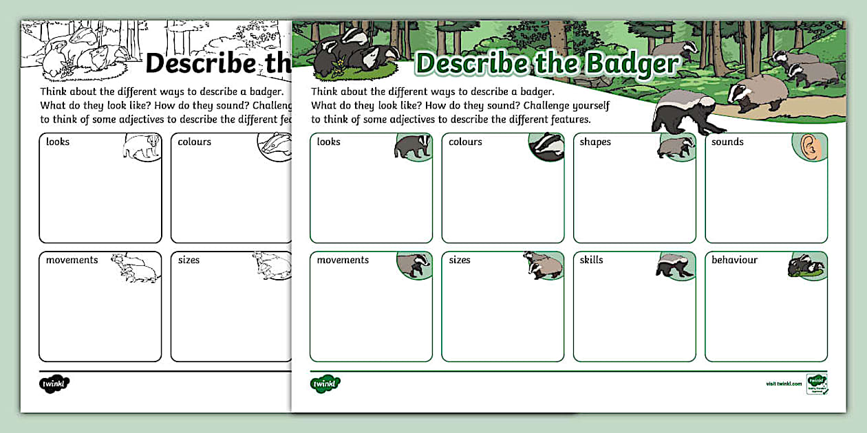 Badger Adjectives Worksheet (teacher made) - Twinkl