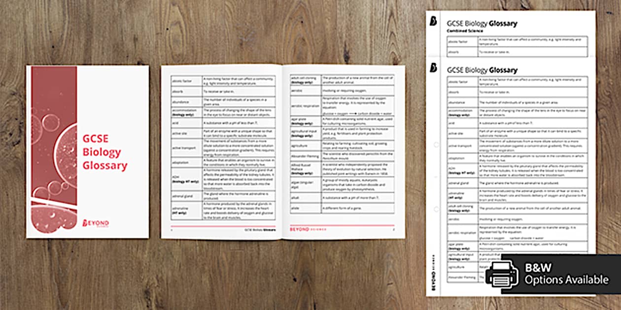 GCSE Biology Glossary | KS4 Science | Beyond - Twinkl