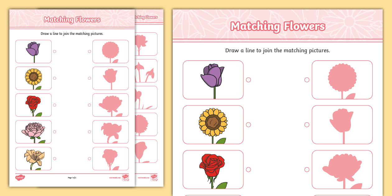 Flowers Matching Activity (teacher made) - Twinkl