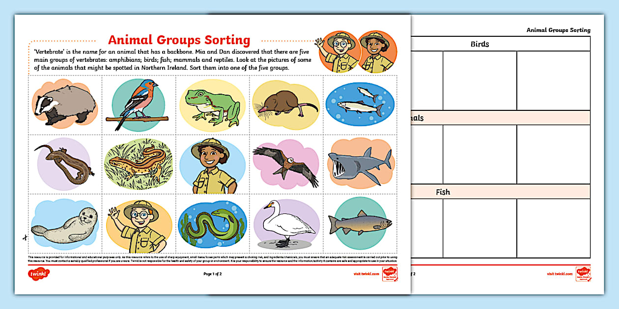 Northern Ireland Animal Groups Sorting Activity - Twinkl