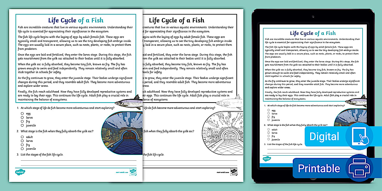 Fifth Grade Life Cycle of a Fish Reading Passage Comprehension Worksheet