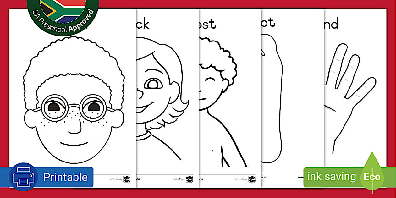 Printable Body Parts Art And Craft For Preschool I Resource