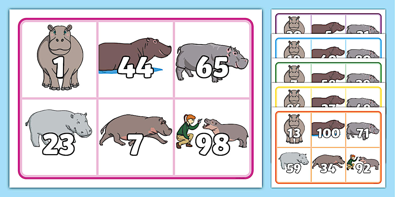 Hippo Bingo Pack (teacher made) - Twinkl