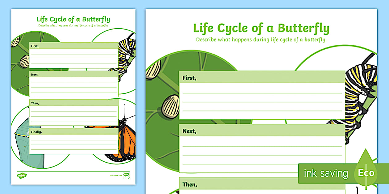 Life Cycle of a Butterfly Writing Frame Worksheet / Worksheet