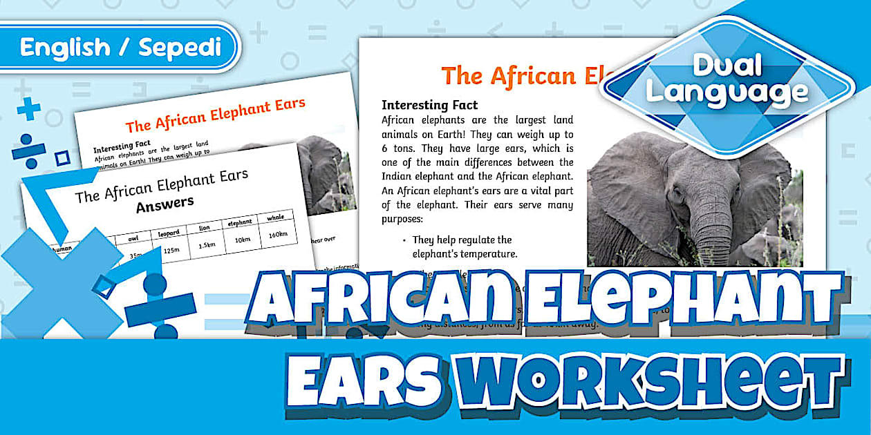 Grade 4 Maths - Term 3 - African Elephant Ears Worksheet - Sepedi/English