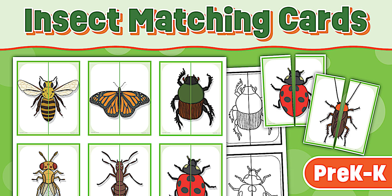 Insect Matching Cards for PreK-K