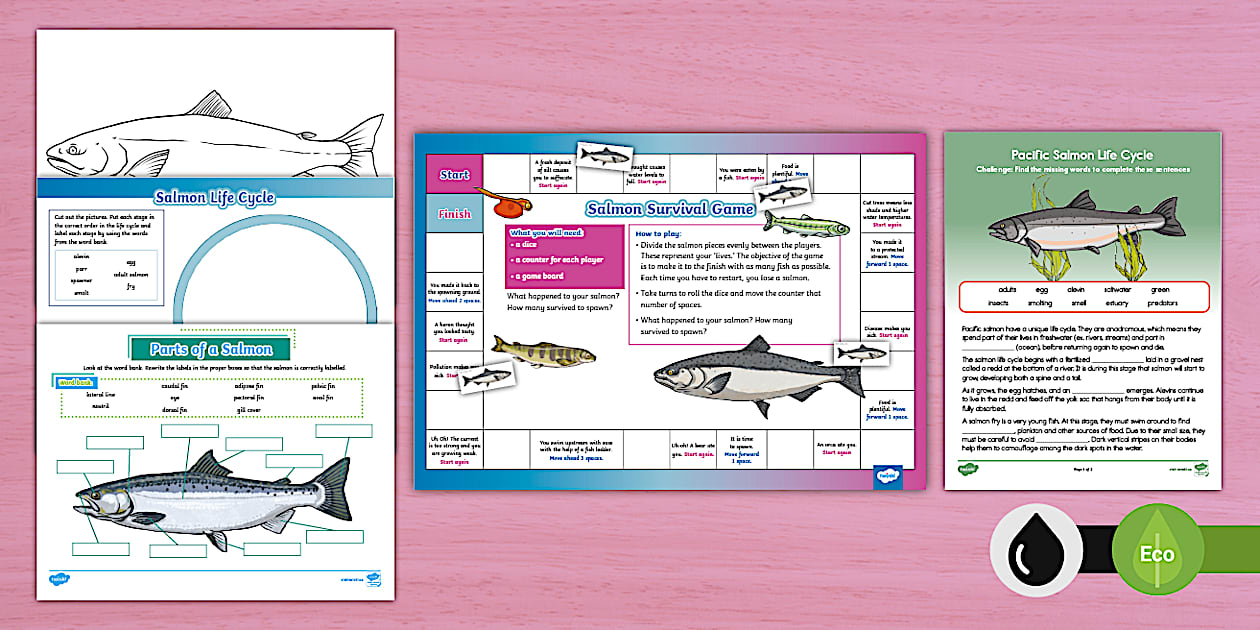 Pacific Salmon Activity Pack (teacher made) - Twinkl