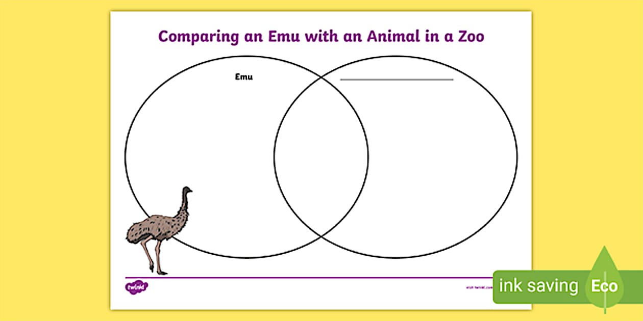 Comparing an Emu with an Animal in a Zoo Venn Diagram