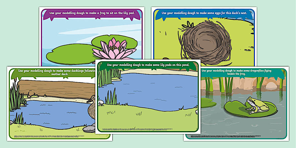 All about ponds modelling dough mats (teacher made) - Twinkl