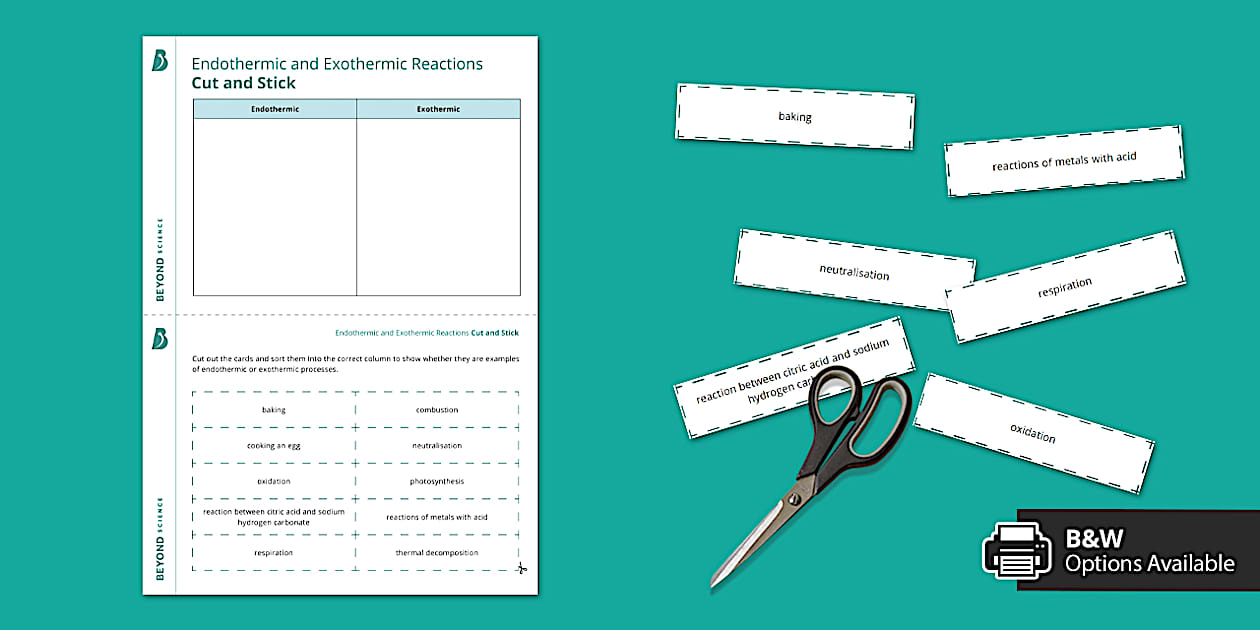 Endothermic and Exothermic Reactions Cut and Stick | Beyond